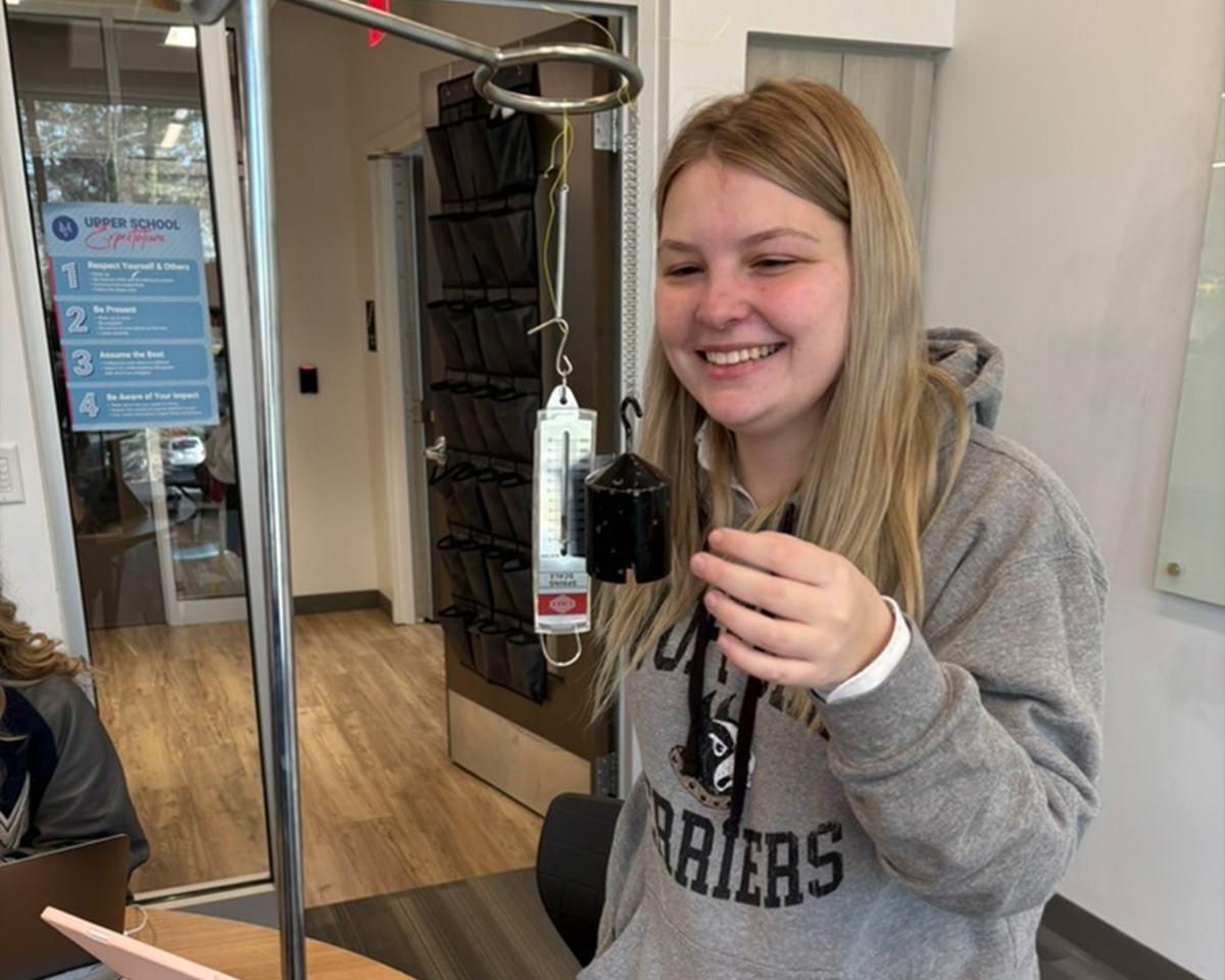 Hands-On Physics: Exploring Oscillators in Upper School Optics | Mount ...